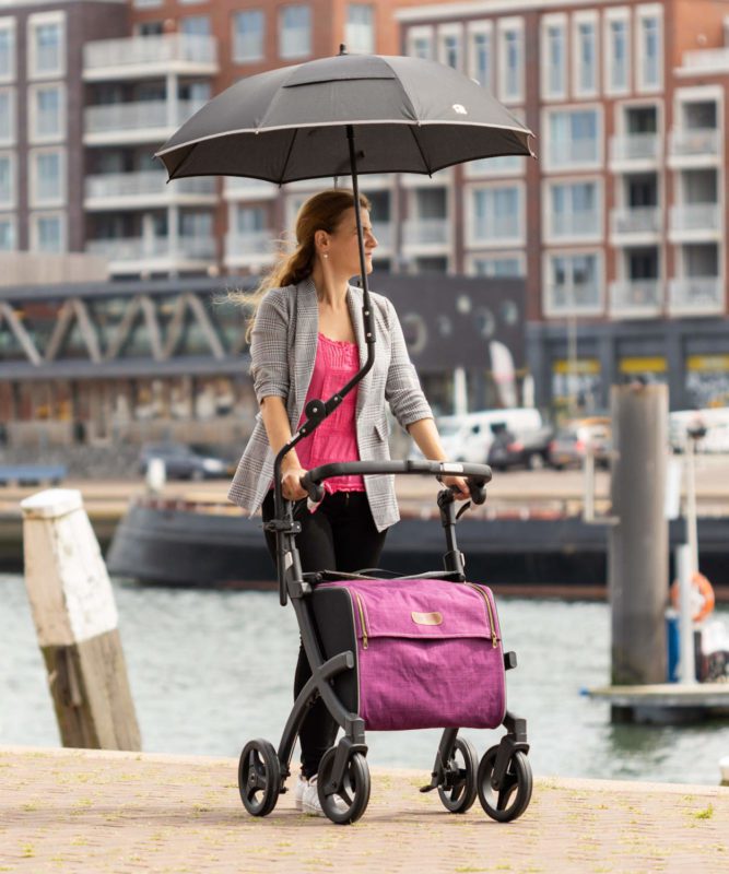 Rollz Flex Shopper | A Rollator That Looks Like a Shopper